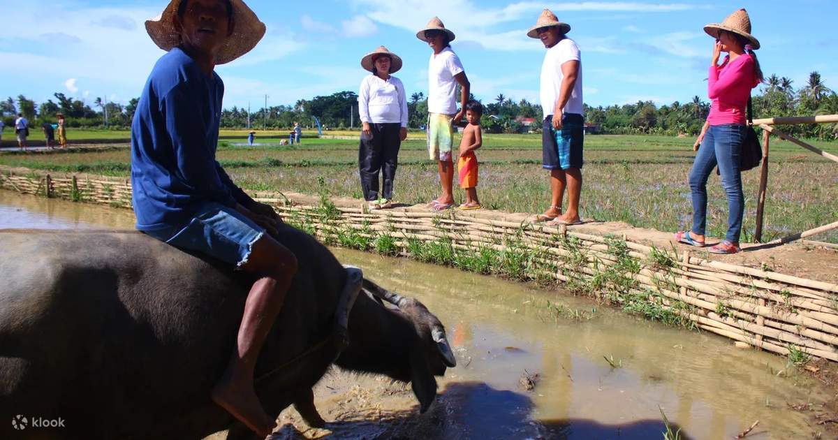 สัมผัสประสบการณ์ ATV และ Zipline ที่พิพิธภัณฑ์ Motag Living - Klook ประเทศไทย